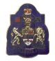 RCMP Staff Sergeant Major / CCC Master Warrant Officer Collar Rank (pair)